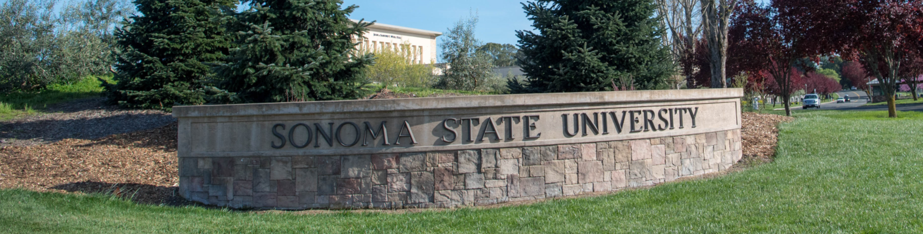 Division of Student Affairs Vision Statement | Student Affairs Division at Sonoma State University